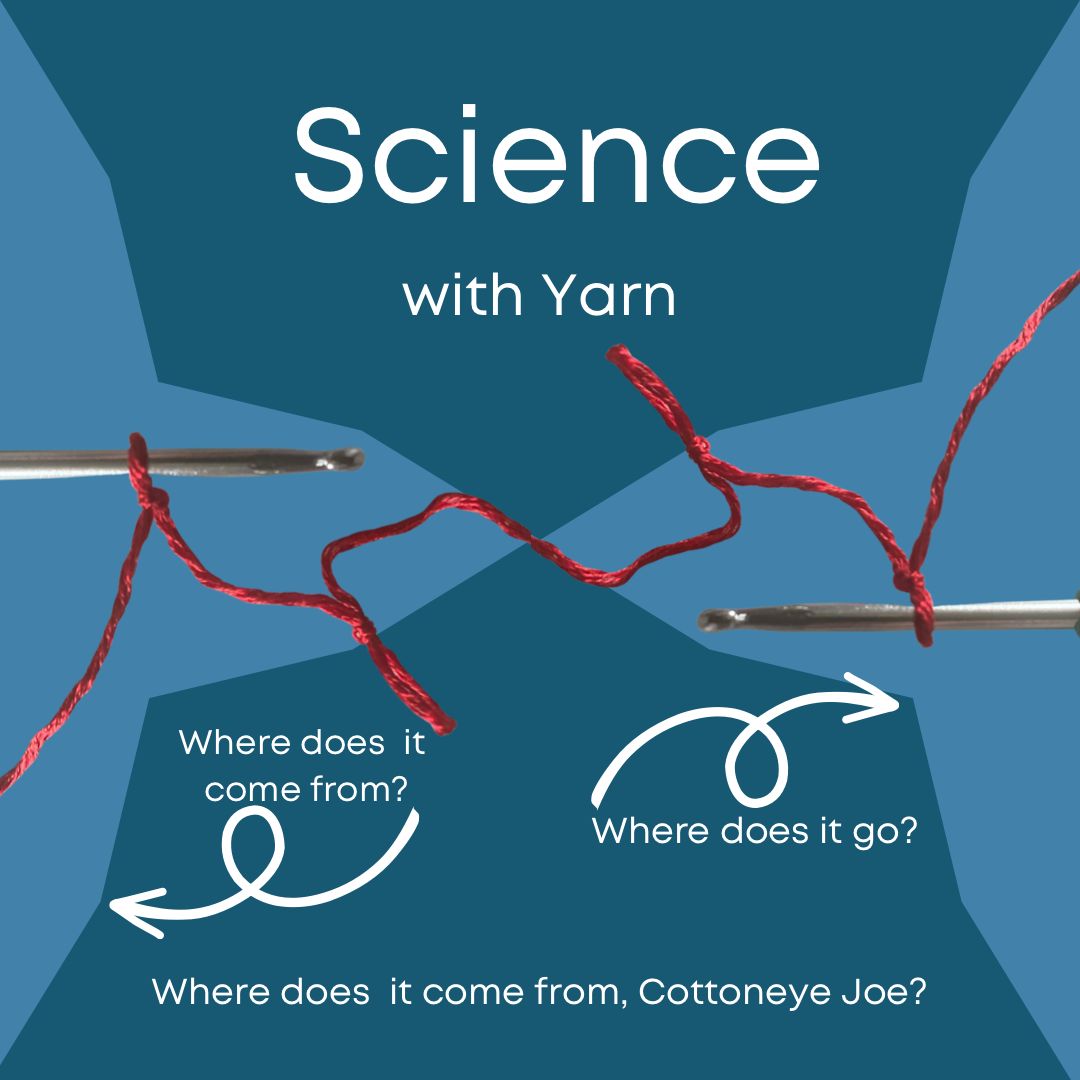 Science with Yarn! - The Fairythorn